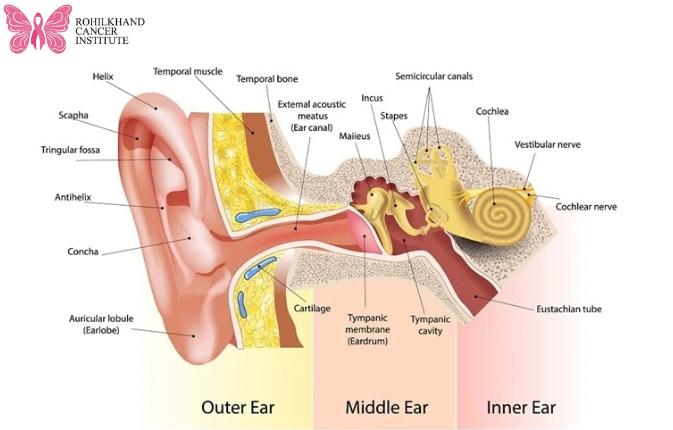 Signs of Cancer The Ear - Rohilkhand Cancer Institute in Bareilly